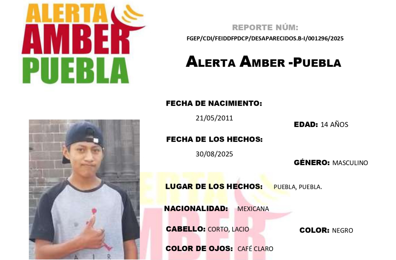 Activan Alerta Amber para localizar a Michael de la Cruz en Puebla ...