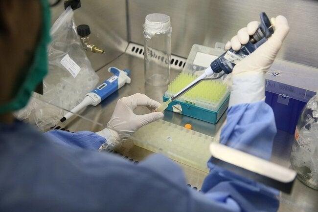 Instituto de Nutrición estudia veneno de alacrán como posible arma ...
