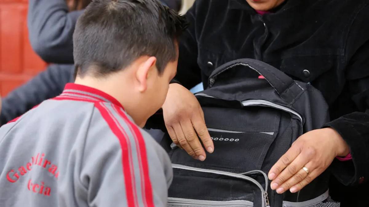 Propone diputada protocolos de revisión de mochilas para reforzar ...