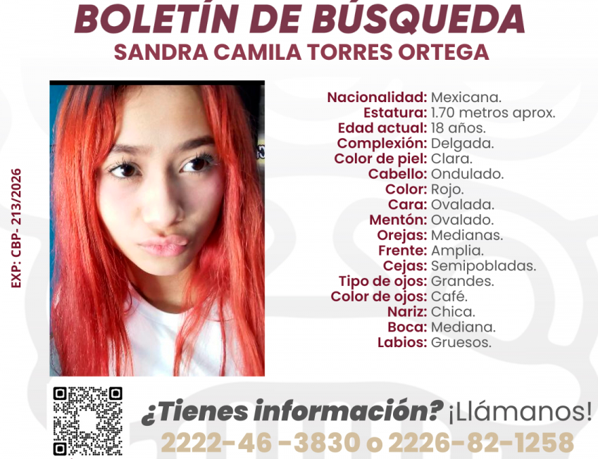 Emiten boletín de búsqueda para localizar a Sandra en Puebla ...