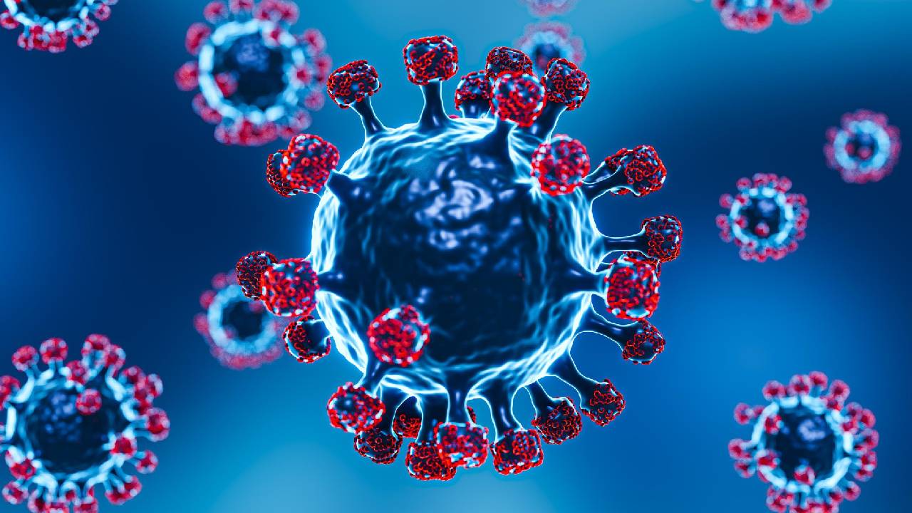 Estos Son Los Síntomas Del Virus Del ébola De Acuerdo Con La Oms